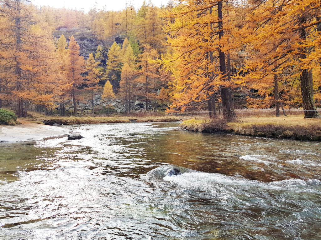 SDAGE 2020-2027 ADOPTÉ ET BIENTÔT EN CONSULTATION PUBLIQUE ...