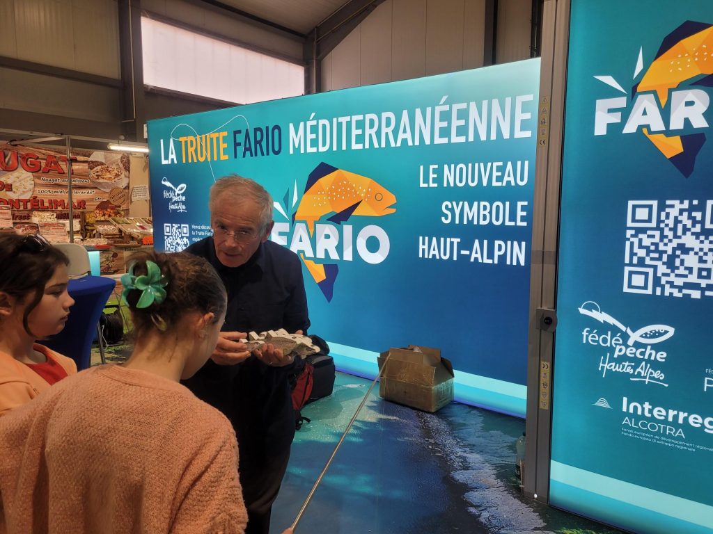 [HAUTES-ALPES : LA TRUITE FARIO MÉDITERRANÉENNE : UNE ESPÈCE QUI ...